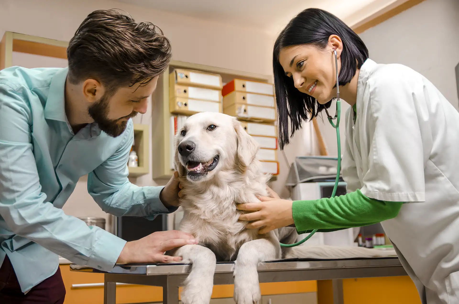 Our Veterinarian | Richey Animal Clinic